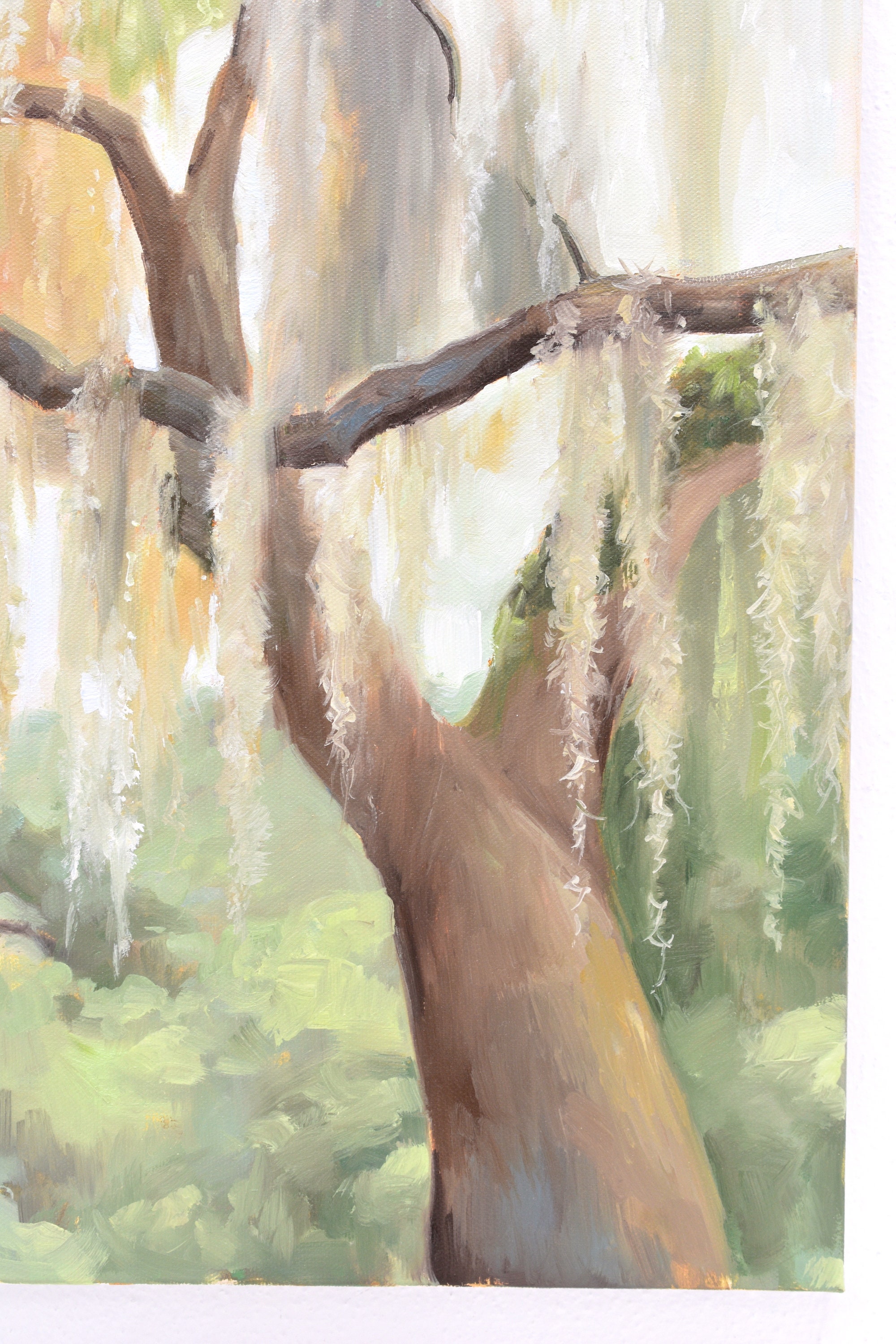 Live Oak Canopy Art, Spanish Moss, Louisiana Home Decor, Home Warming ...