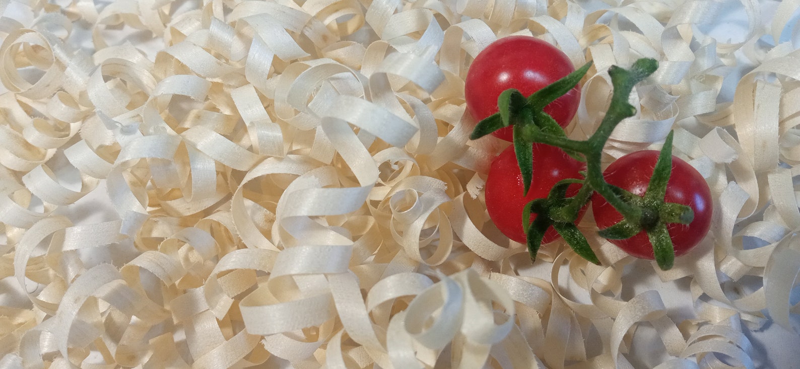 A BOX of Wood Shavings Spiral, Wooden Curls Size 4mm / 20cm (600 Gr ...