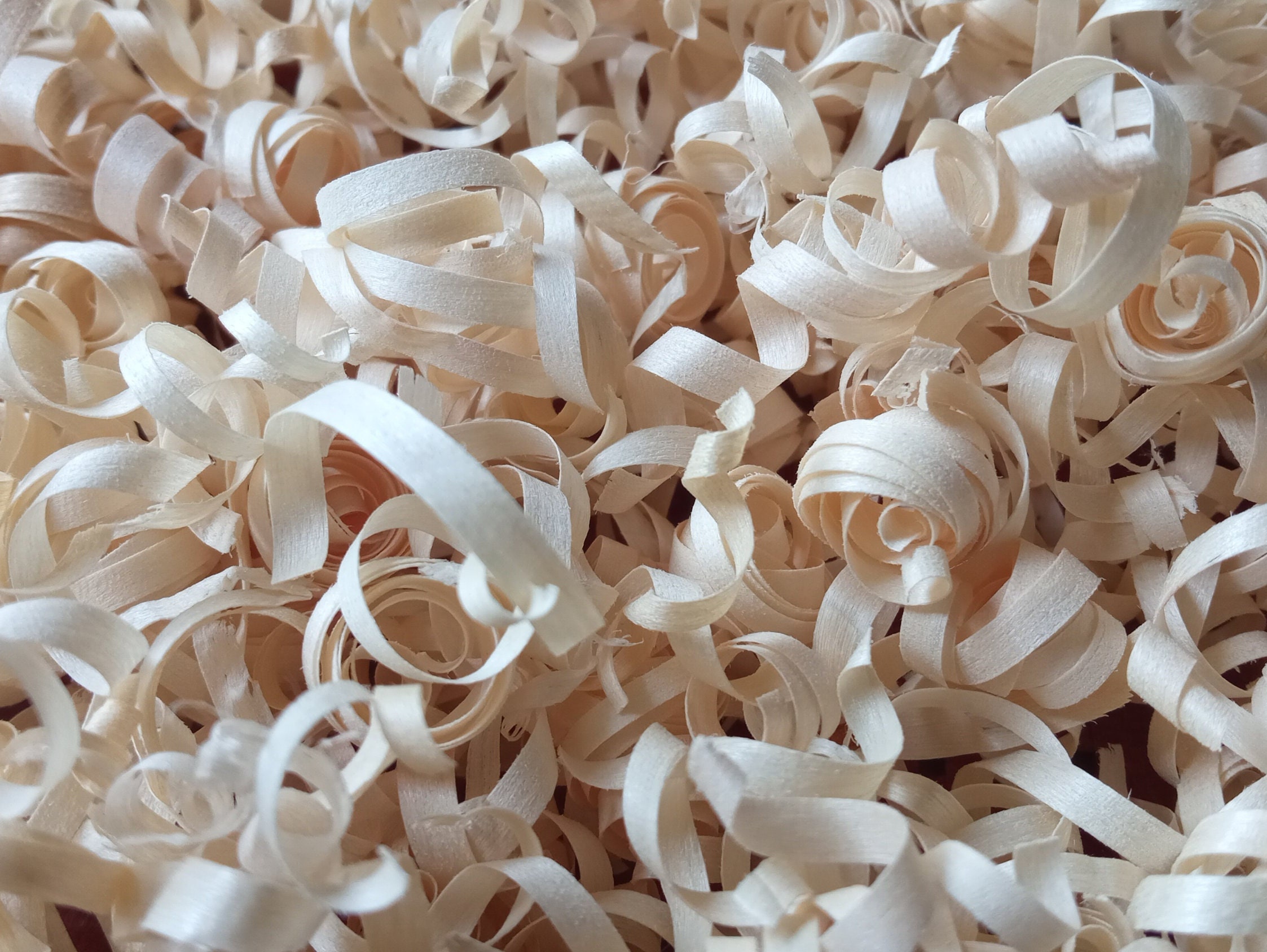 20 G. Wood Shavings Spiral, ART DIY, Wooden Curls, Wooden Wool - Etsy