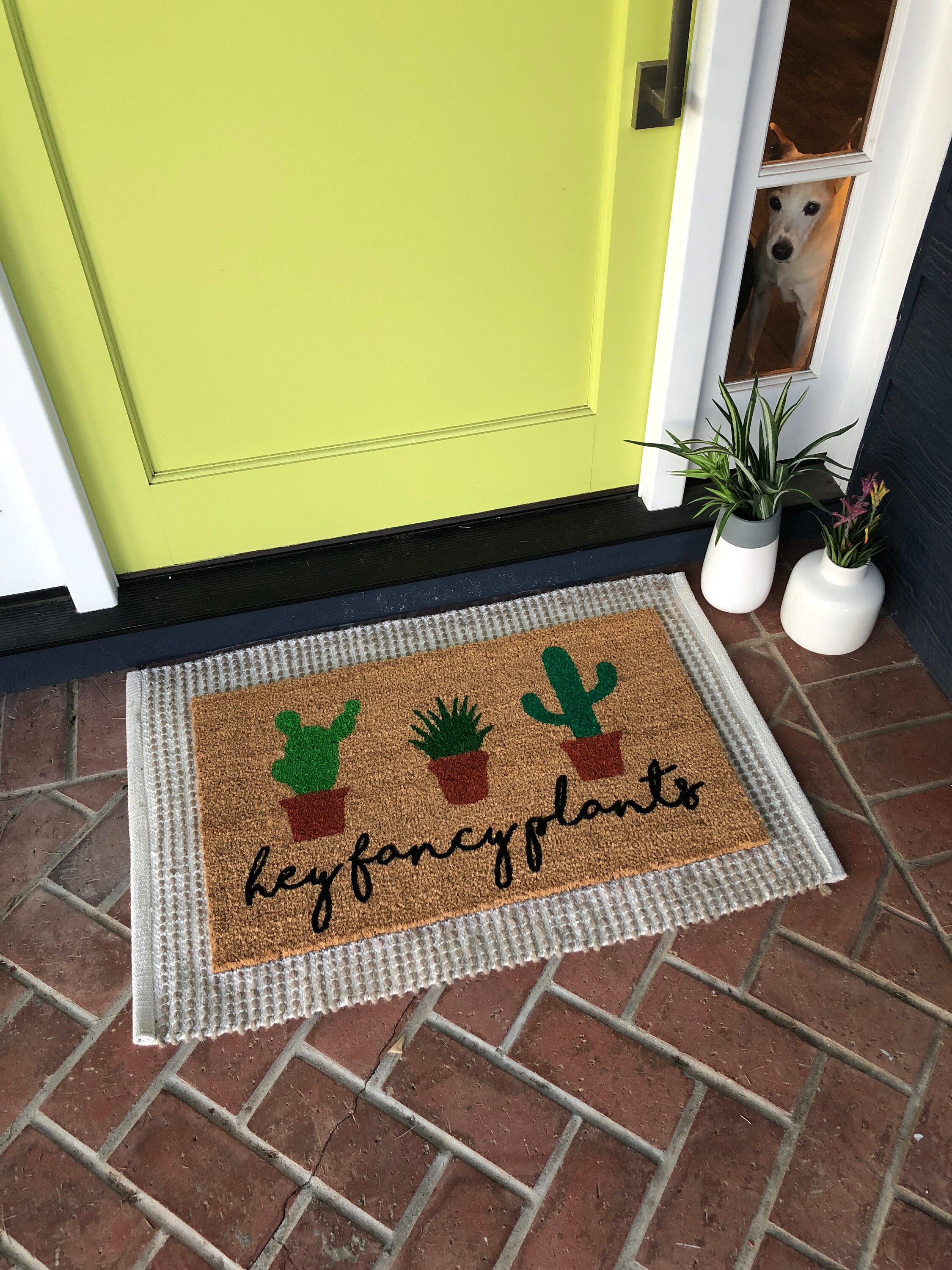 Cactus Doormat / Hey Fancy Plants / Plant Welcome Mat / | Etsy