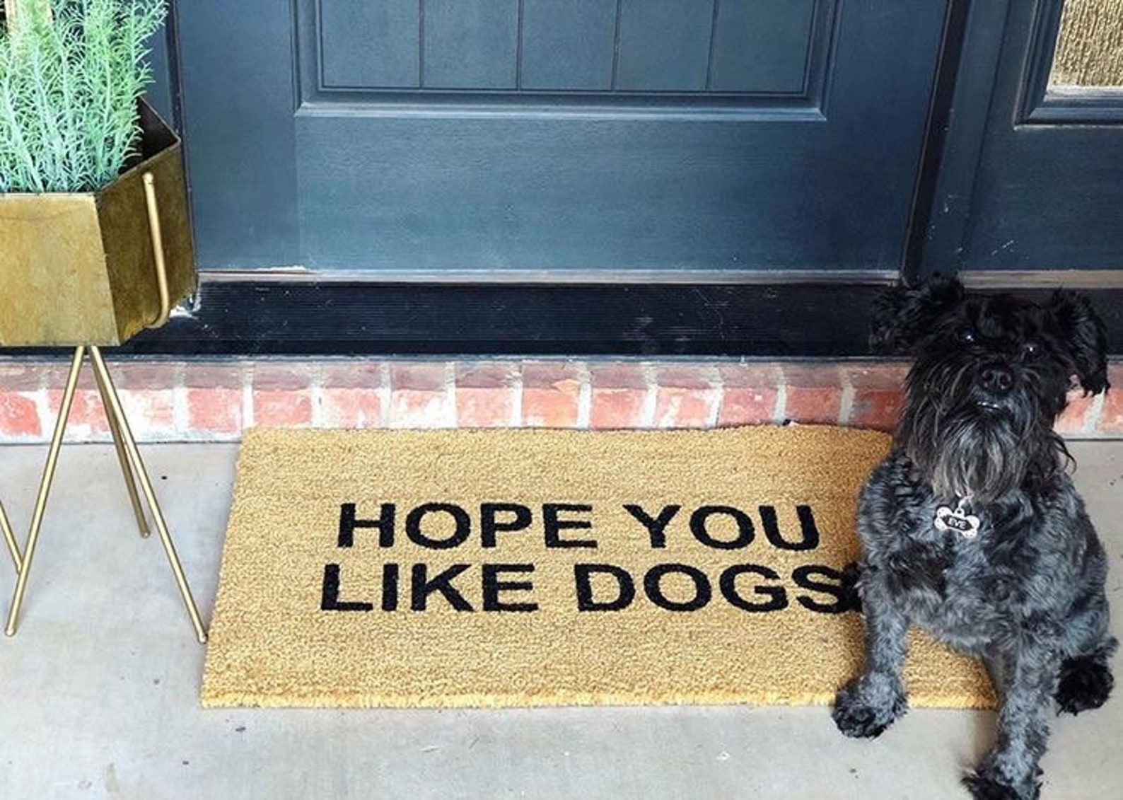 Dog Doormat / Funny Dog Door Mat / Cat Welcome Mat / Rude | Etsy