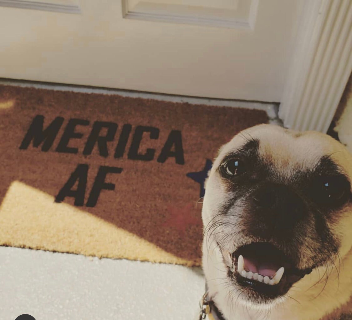 MERICA AF Doormat, 4th of July Doormat Summer, Fourth of July Doormat ...