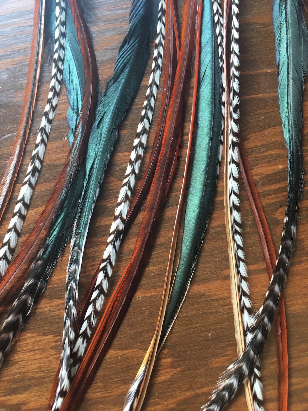 Hair Feather Extensions 8'-12' / Premium Natural Feathers / Long ...