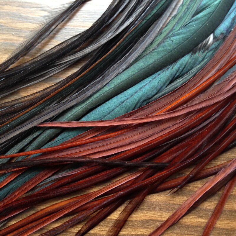 Rooster Feather - Etsy