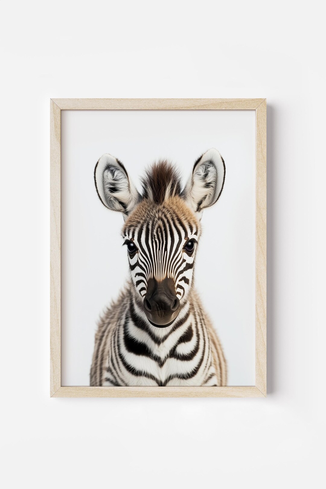 Baby Zebra Art Print Nursery Wall Decor, Zebra Digital Download Art ...