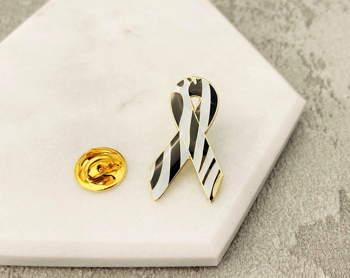 Rainbow Zebra Pin - Etsy