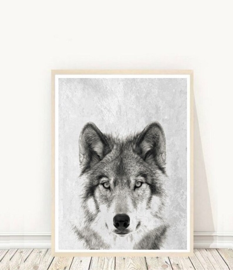 Wolf Print Wolf Photo Printable Art Wolf Art Art Print | Etsy