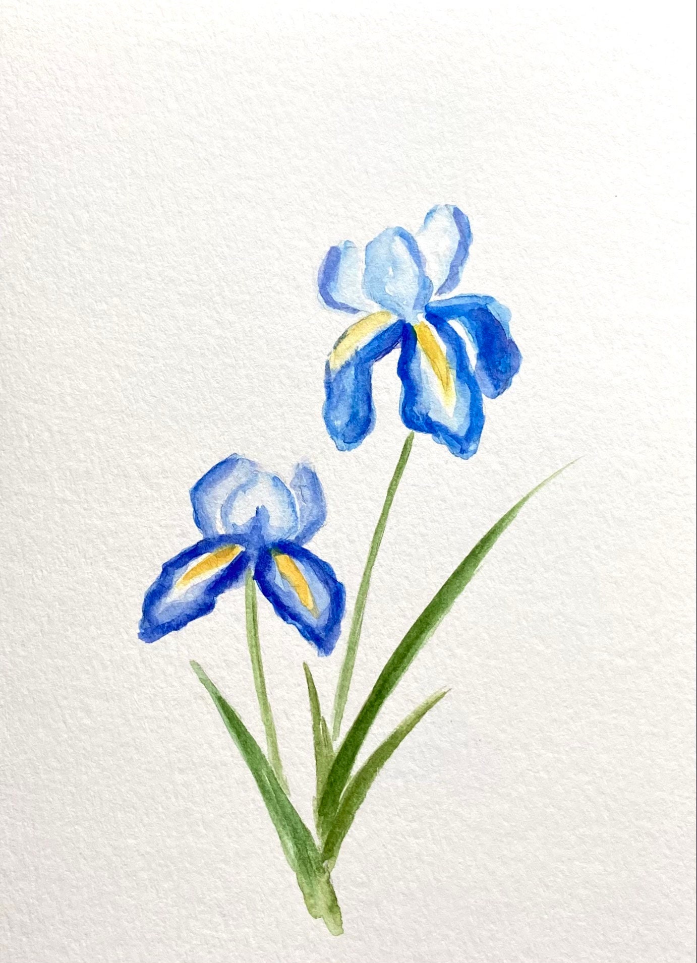 Hand Painted Watercolor Card, 5x7, Blue Irises Card, Blank Card ...