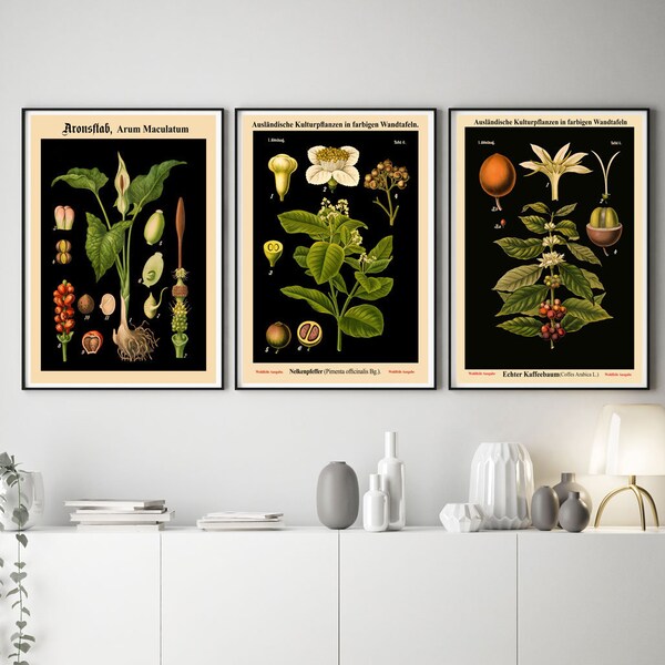 Printable Black Botanical - Etsy