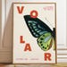 Monarch Butterfly on Milkweed Flower Art Print - Etsy