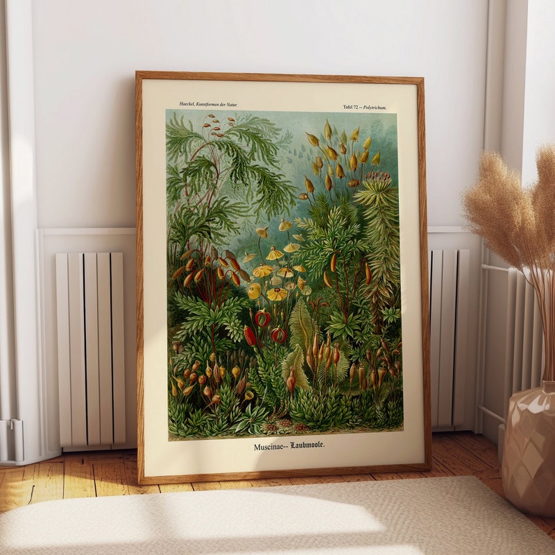 Nature Poster - Etsy