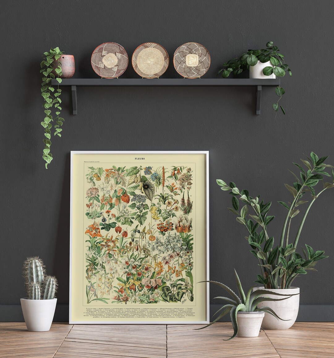 Adolph Millot Wall Art of Colorful Flowers - Etsy