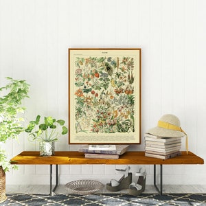 Adolph Millot Wall Art of Colorful Flowers - Etsy