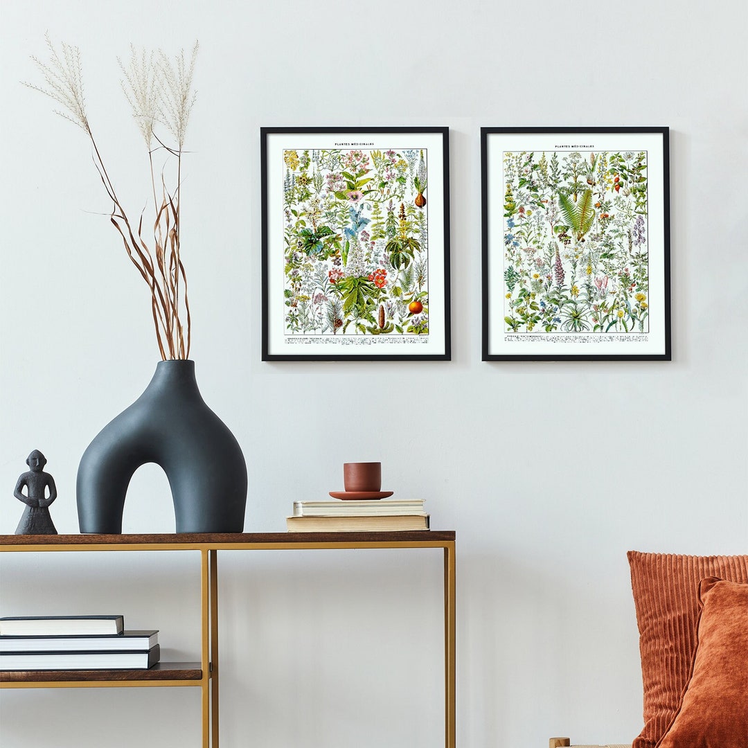 Medicinal Plant Prints Set of 2 Botanical Art Herb Posters Thoughtful ...