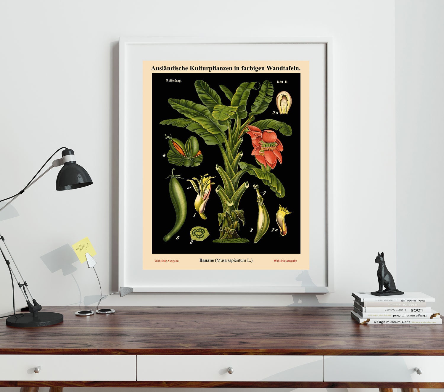 Educational Botany Posters