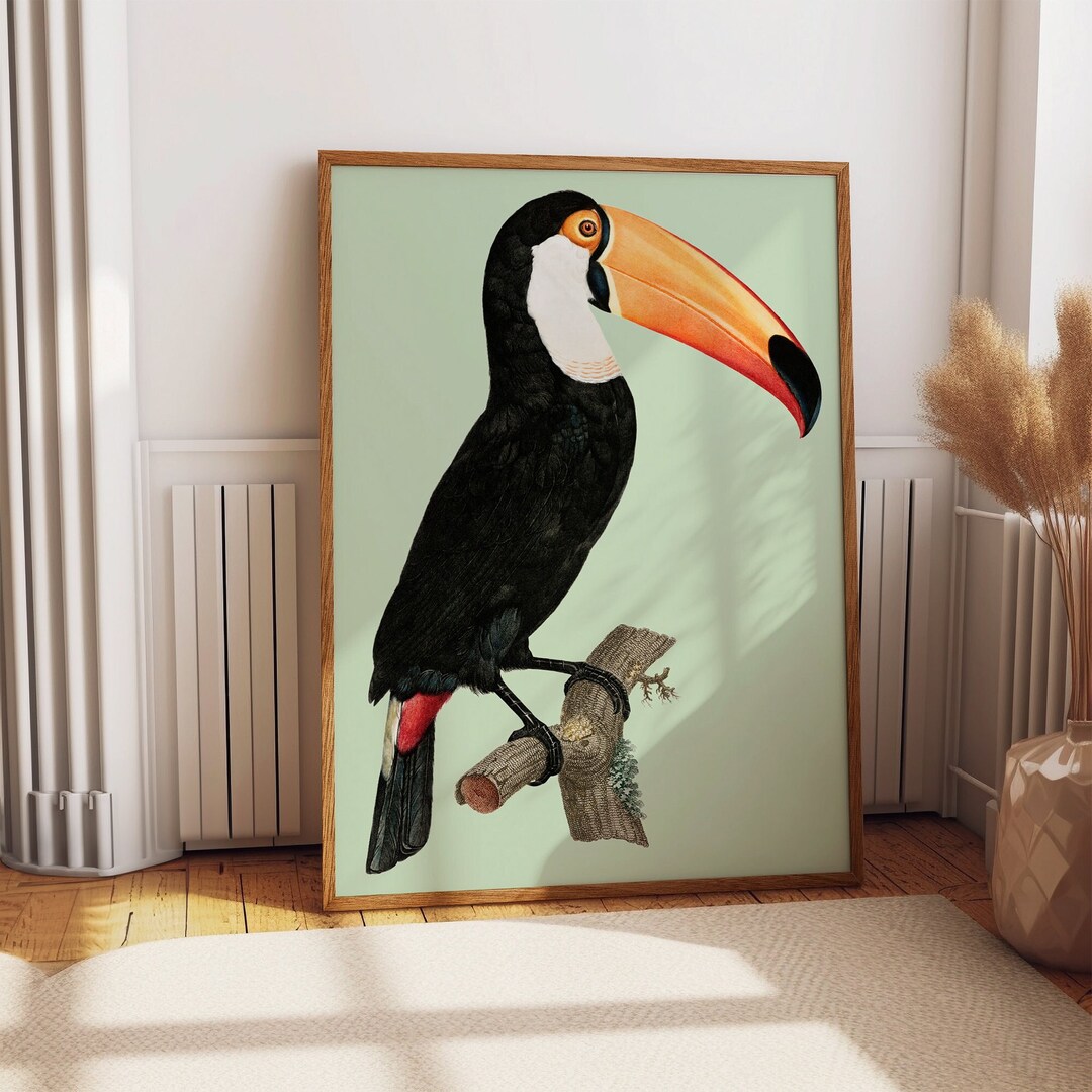 Toucan Poster: Large Wall Art for a Modern and Colorful Touch, Toucan ...