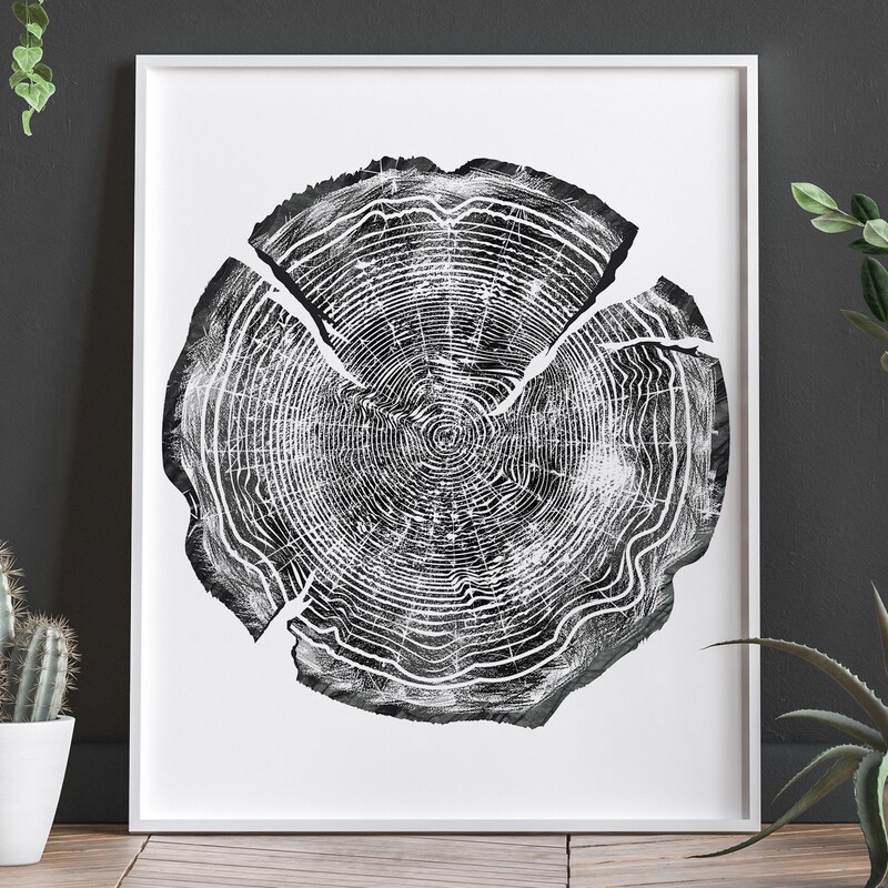 Tree Ring Print - Etsy