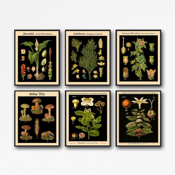 Botanical Poster - Etsy
