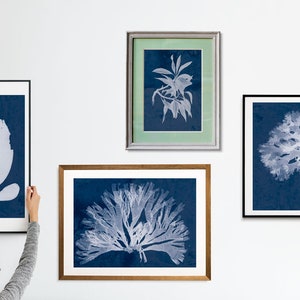 Cyanotype Prints Set of 4 Cyanotype Botanical Prints From - Etsy