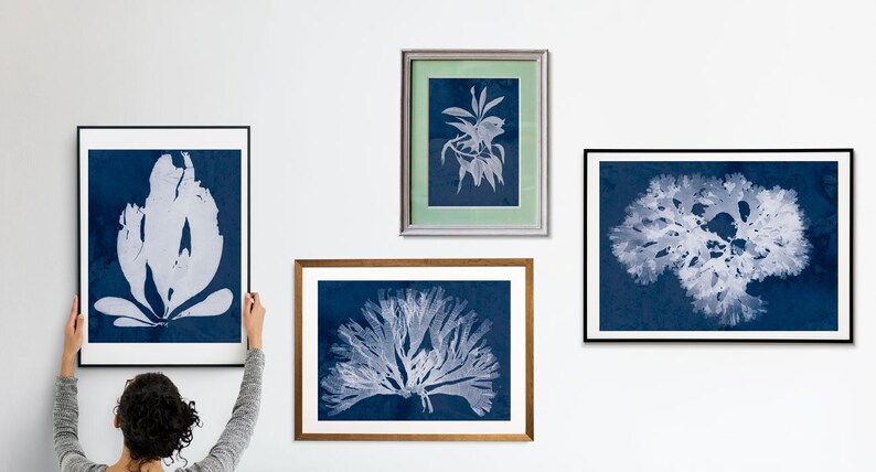 Cyanotype Prints Set of 4 Cyanotype Botanical Prints From | Etsy