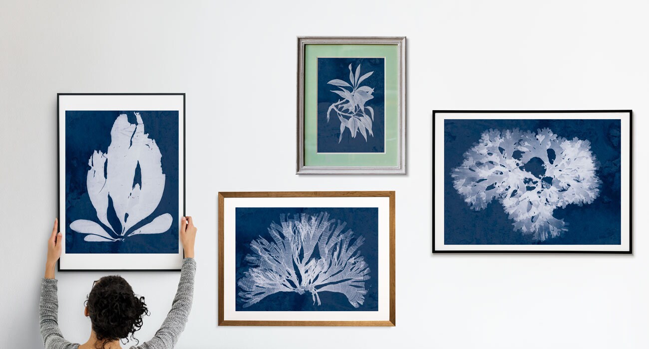 Cyanotype Prints Set of 4 Cyanotype Botanical Prints From | Etsy