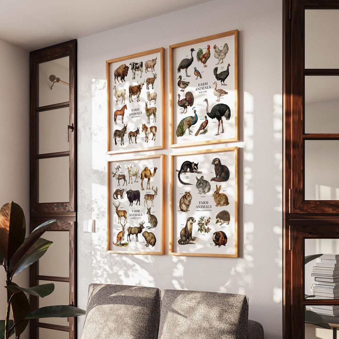 Farm Animals Educational Posters: Vintage Style Livestock, Poultry ...