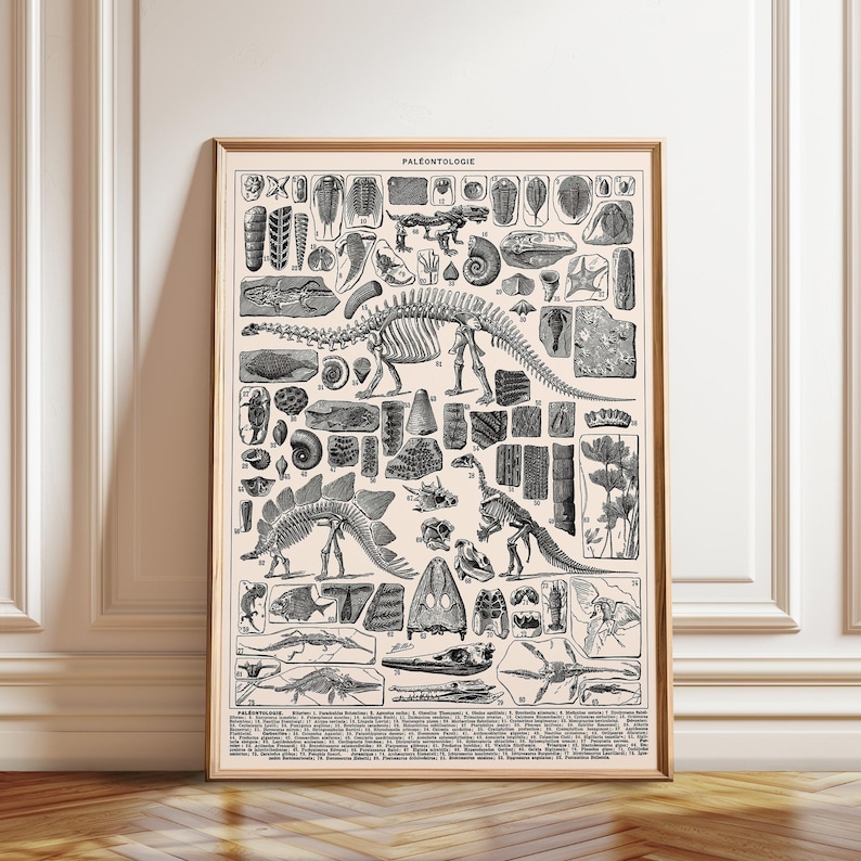 Dinosaur Paleontology Wall Art Print | Vintage Fossil Chart ...