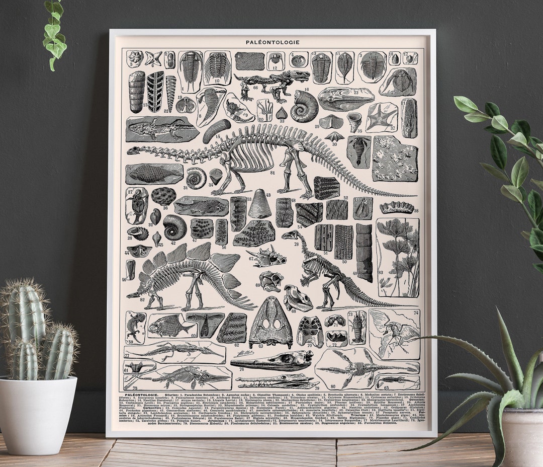 Dinosaur Posters Dinosaur Wall Art Dinosaur Decor Paleontology - Etsy