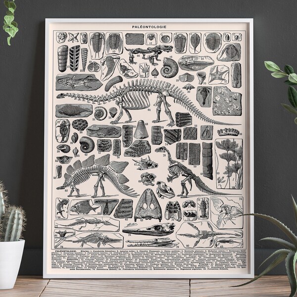 Dinosaur Posters - Etsy