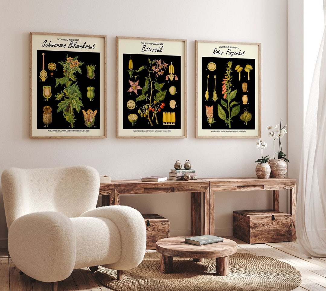 Botanical Posters Set of 3 Antique Illustrations Gallery Wall Bundle ...