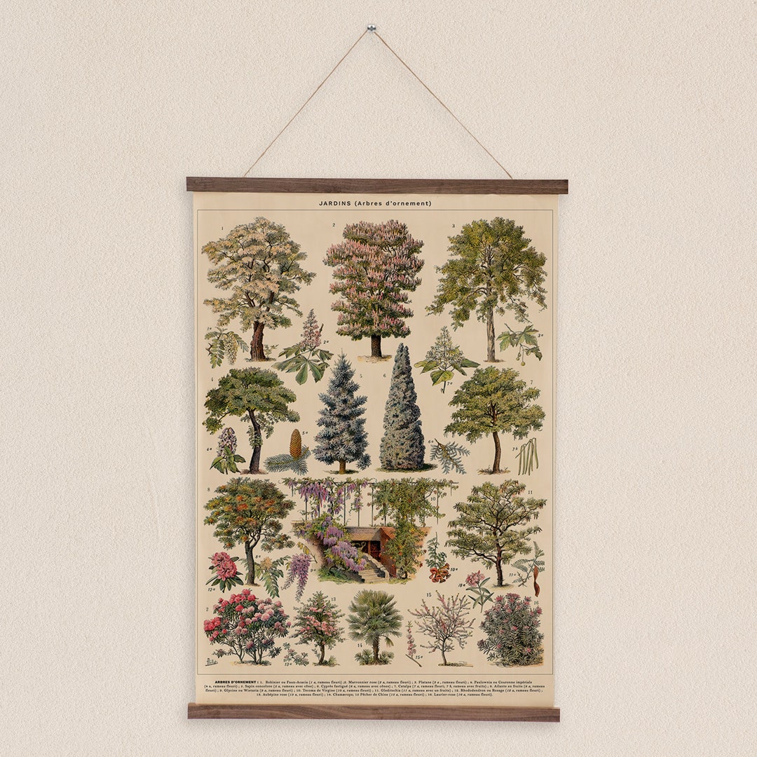 Botanical Tree Wall Hanging Tree Illustration by Adolphe Millot Printed ...