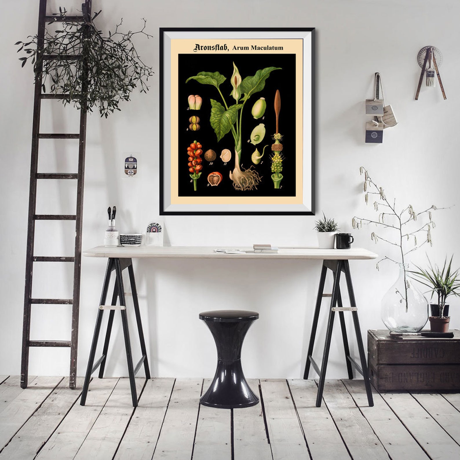 Rare Botanical Print on Black Background Black Botanical Art | Etsy