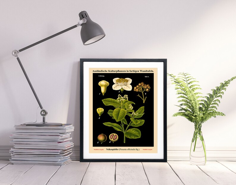 Black Botanical Print Vintage German Botanical Chart Pepper - Etsy