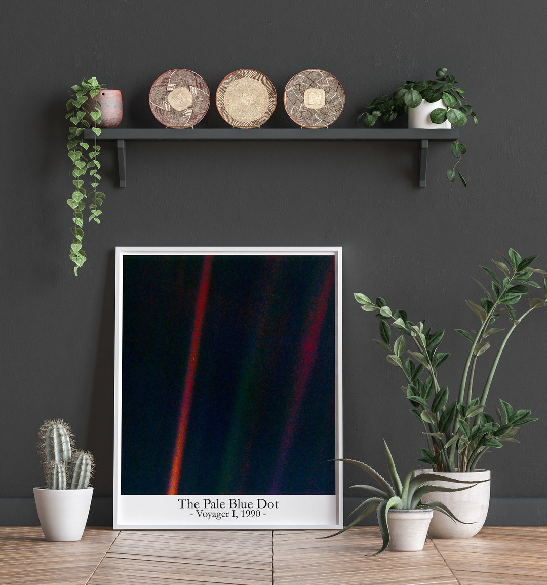 The Pale Blue Dot Poster Pale Blue Dot Print Astronomy Poster Science ...