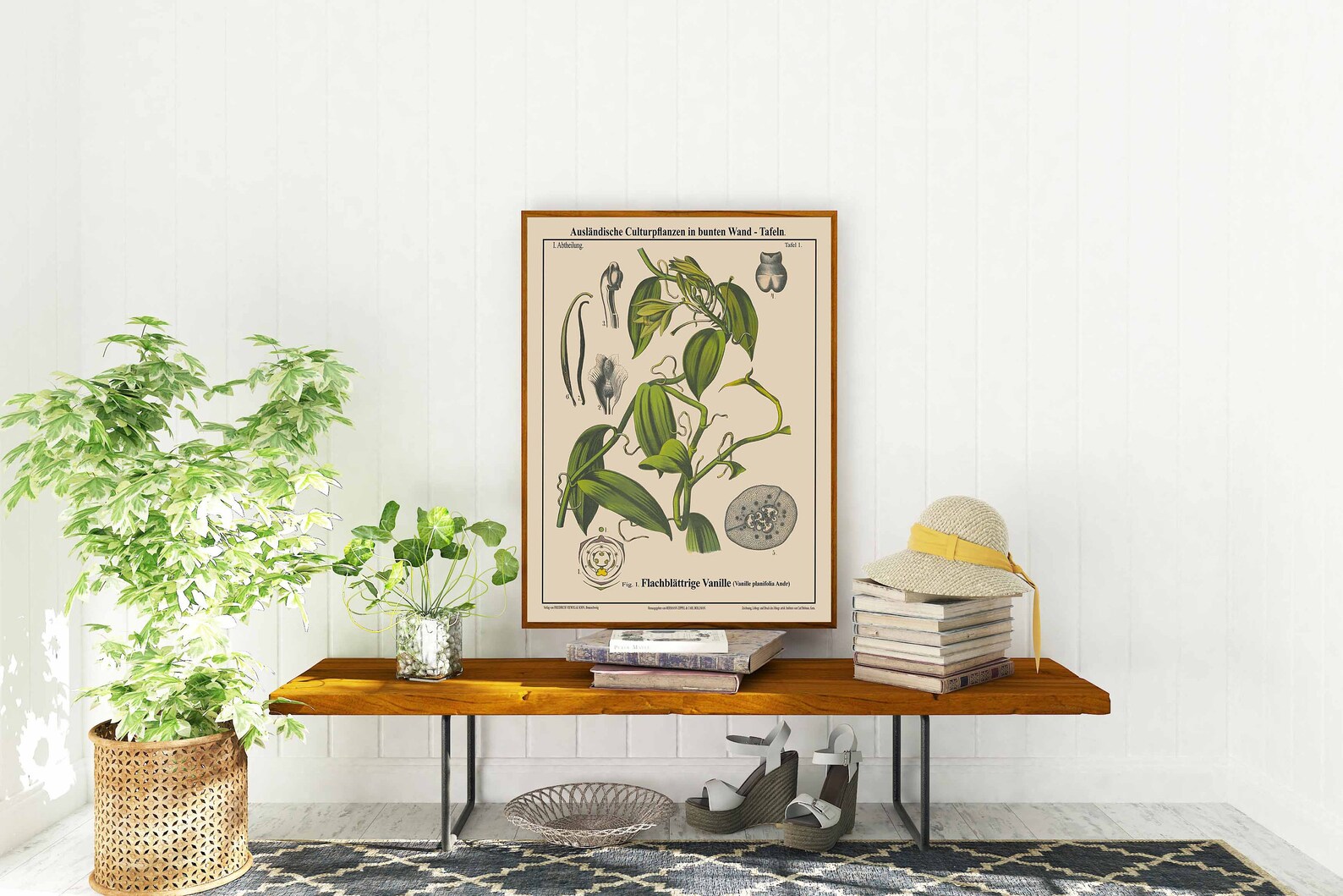 Vanilla Botanical Print Kitchen Botanical Art Oversize | Etsy