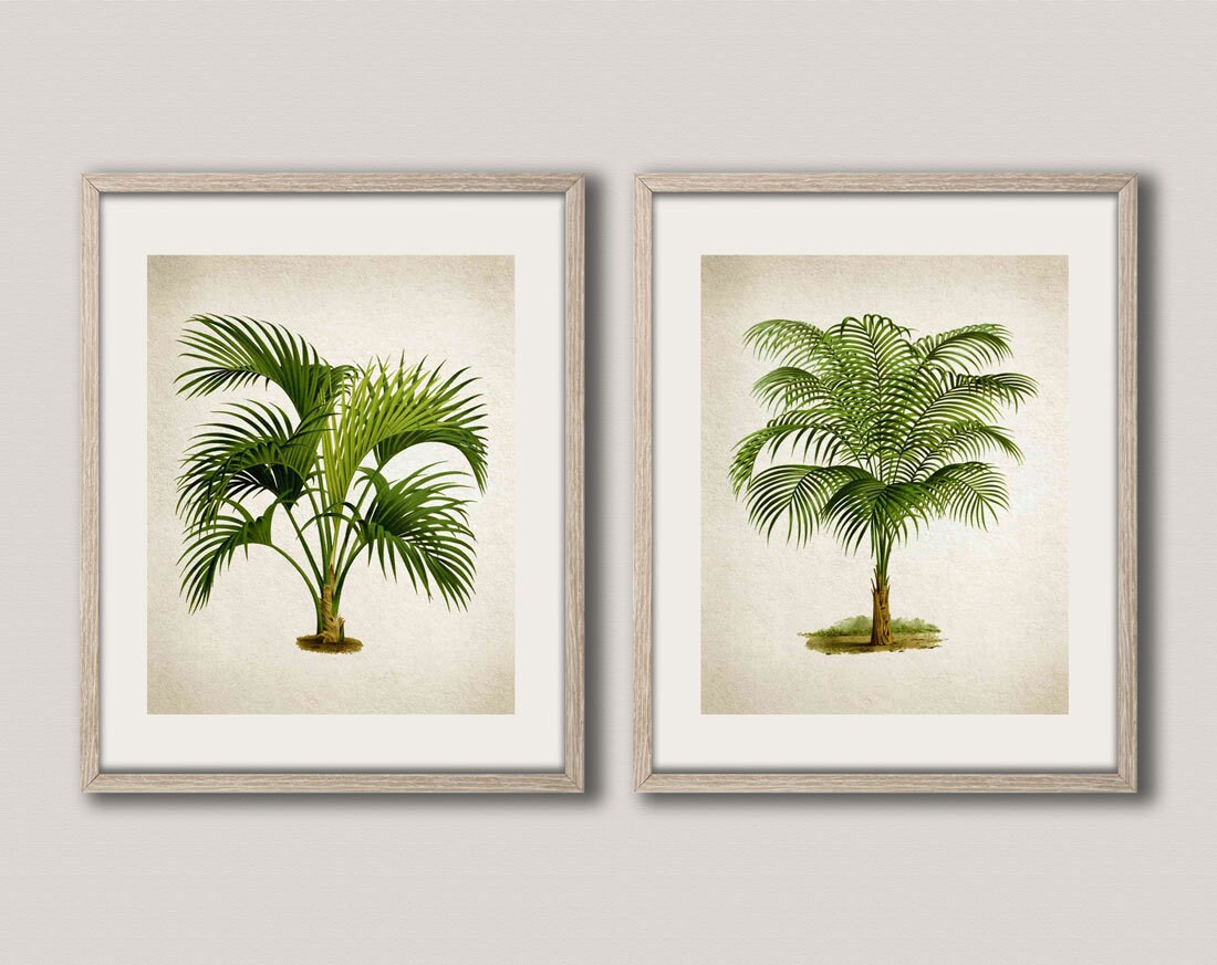 Palm Tree Prints Set Of 2 Botanical Palm Posters Palm Tree Wall Art