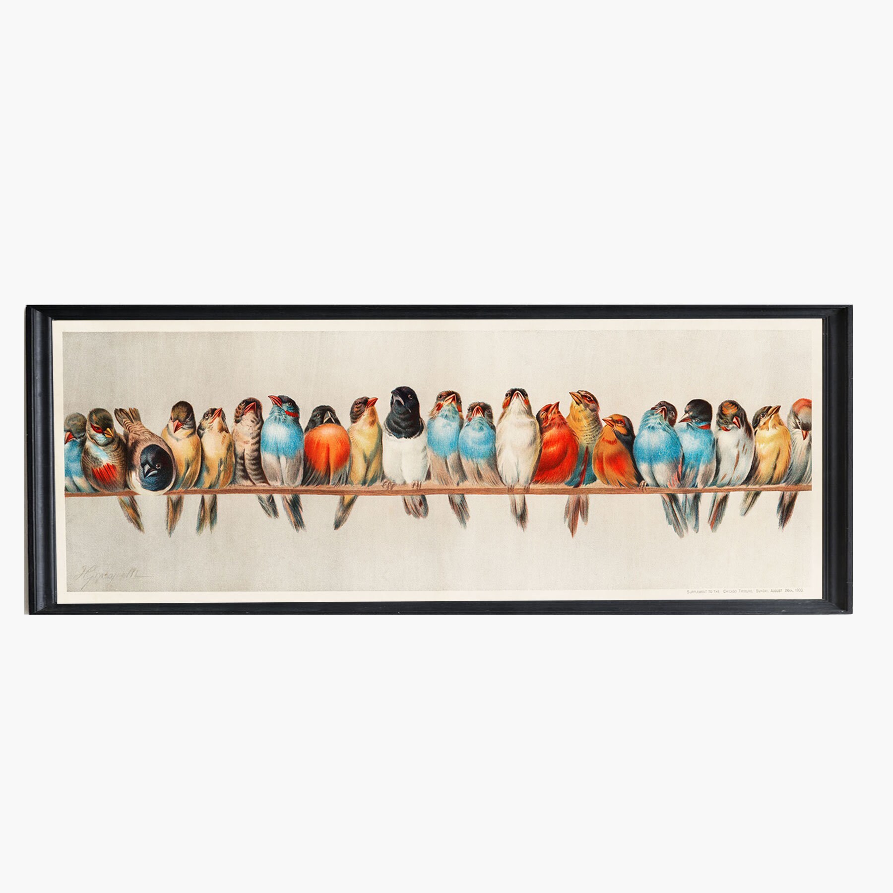 Bird Wall Art Bird Print Large Landscape Print A Perch of | Etsy Ireland