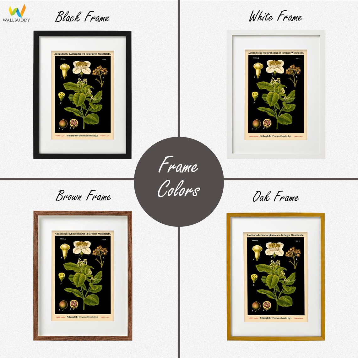 Black Botanical Print Vintage German Botanical Chart Pepper - Etsy