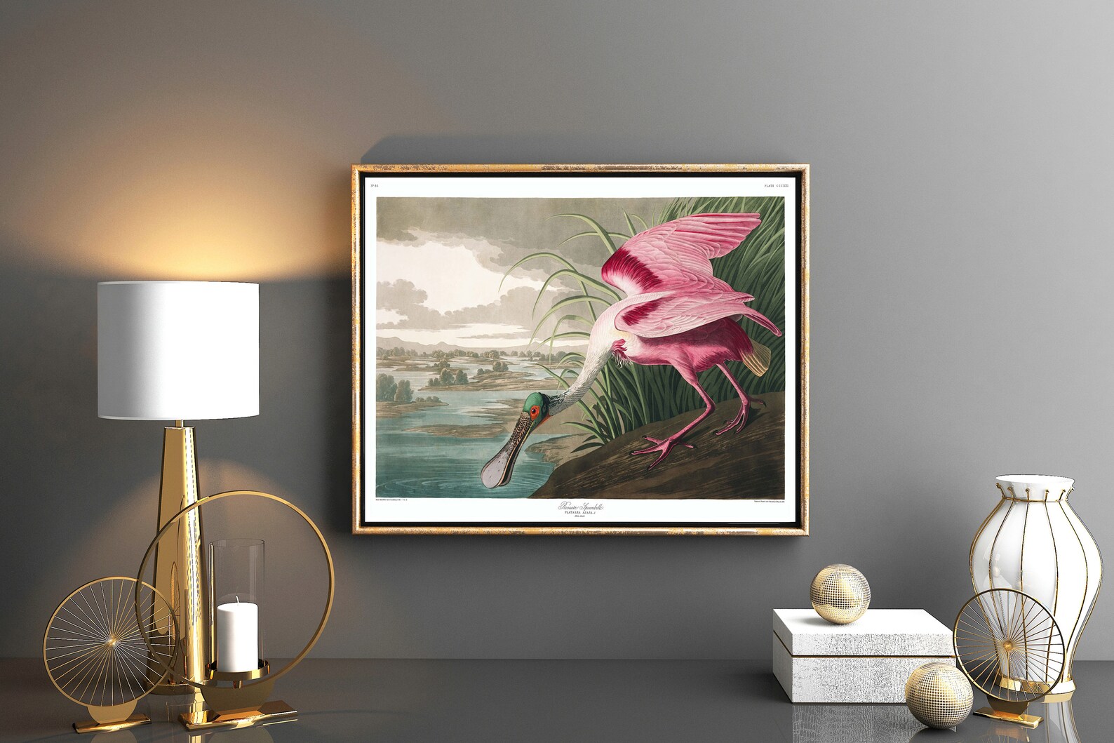 Audubon Birds of America Prints Set of 4 High Resolution | Etsy