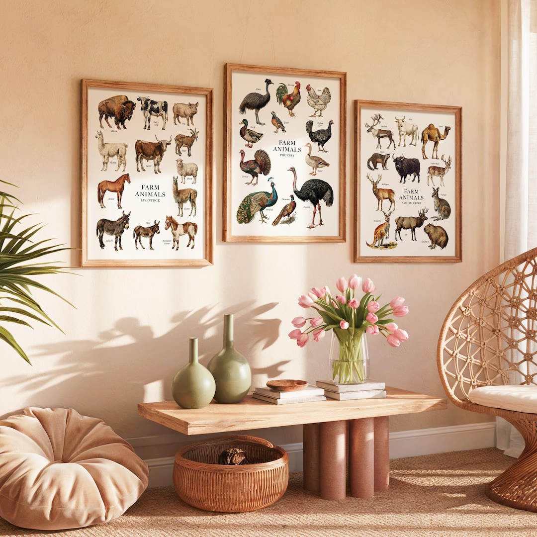 Farm Animal Educational Posters - Vintage Style Livestock & Poultry Art ...