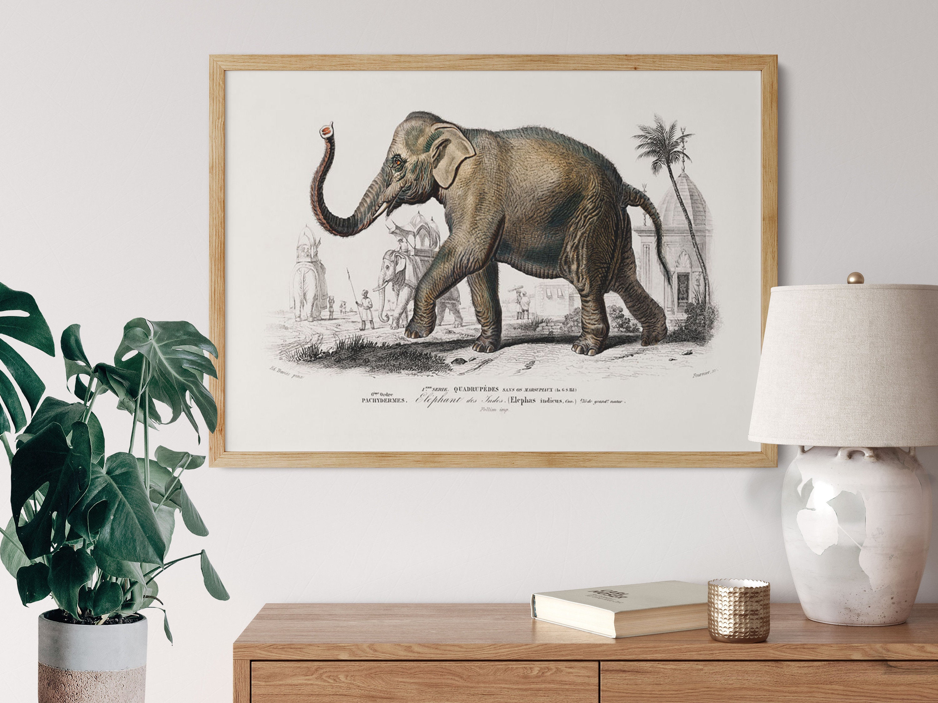 Vintage Elephant Poster
