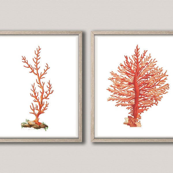 Coral Prints - Etsy