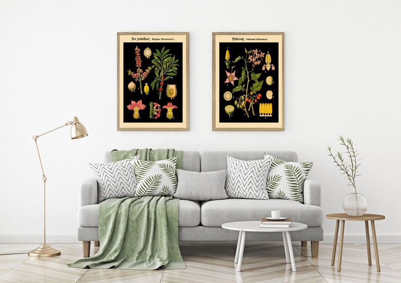 Botanical Charts Set of 2 Educational Botanical Charts Rare - Etsy