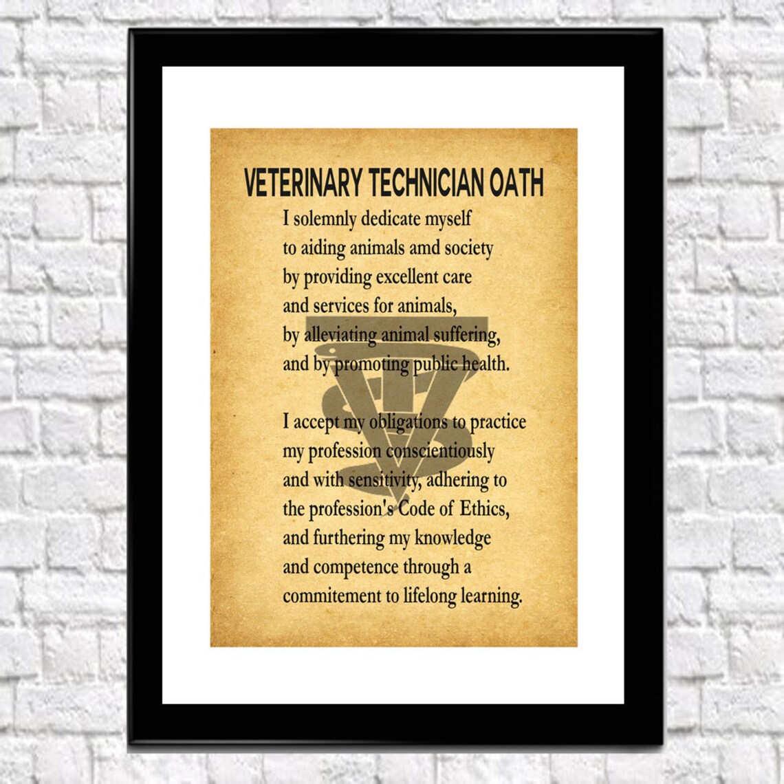 Vet Tech Gift Veterinary Technician Oath Vet Tech Gift Oath | Etsy