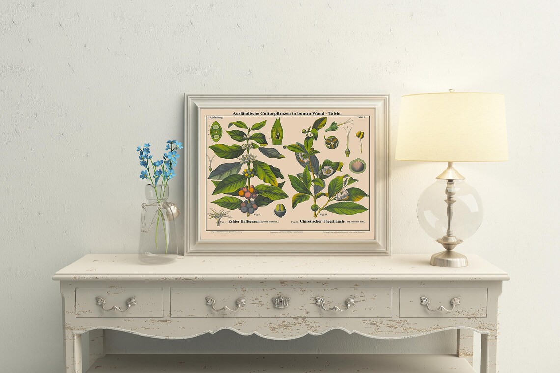 Tea and Coffee Plant Botanical Print Rare Coffee Decor Cafe | Etsy