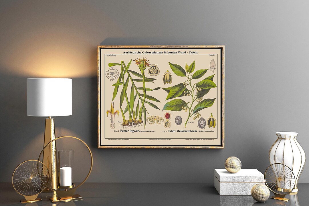 Ginger and Nutmeg Botanical Prints Landscape Botanical Art - Etsy