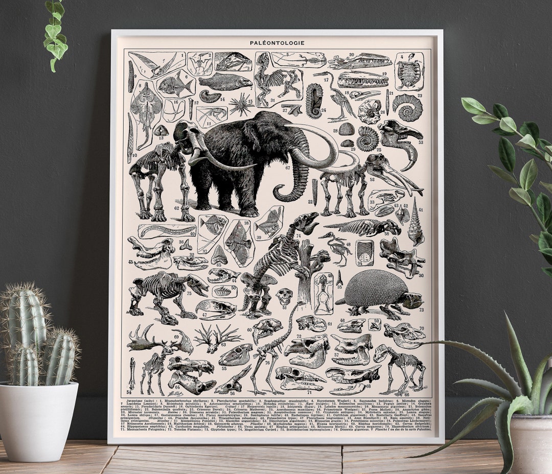 Dinosaur Posters Paleontology Wall Art Pre-historic Life Print - Etsy