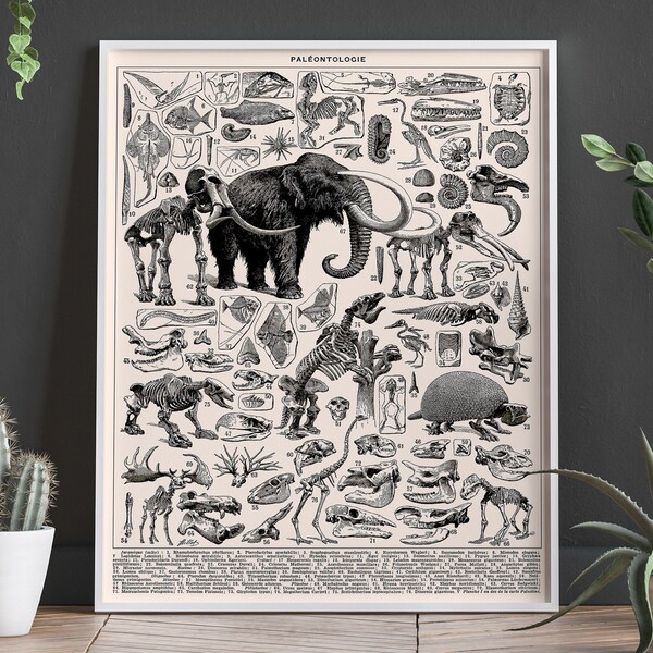 Dinosaur Posters - Etsy