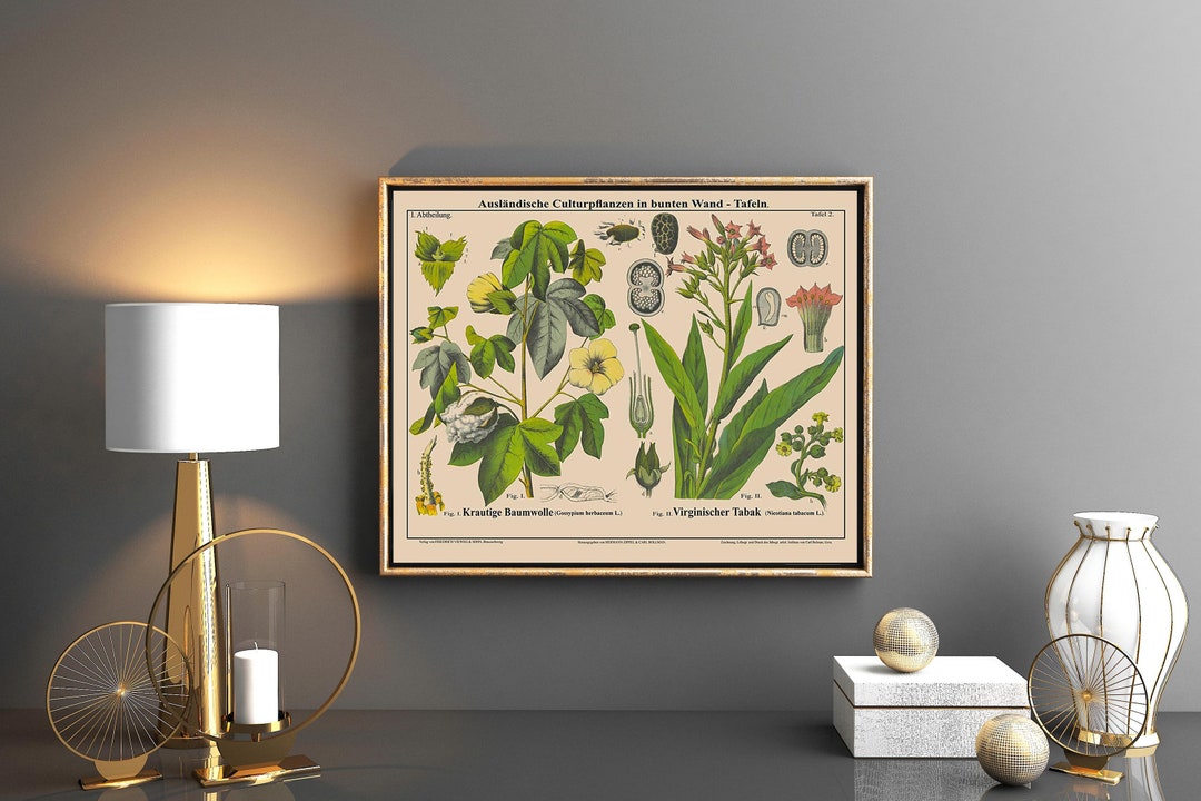 Landscape Botanical Print Cotton Botanical Plant Tobacco Plant Kitchen ...