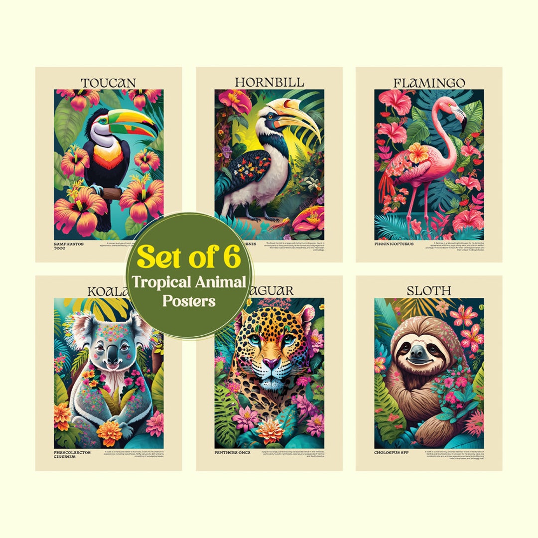 Rainforest Animals Set of 6 Posters - Colorful Jungle Artwork Prints ...